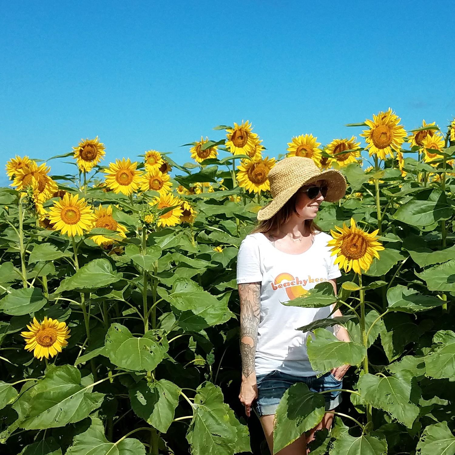 Hawaii Life: Waialua Sunflower Fields - Aloha Lovely