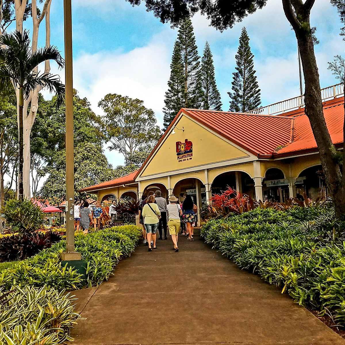 A Visit to Dole Plantation: Pineapple Paradise - Aloha Lovely