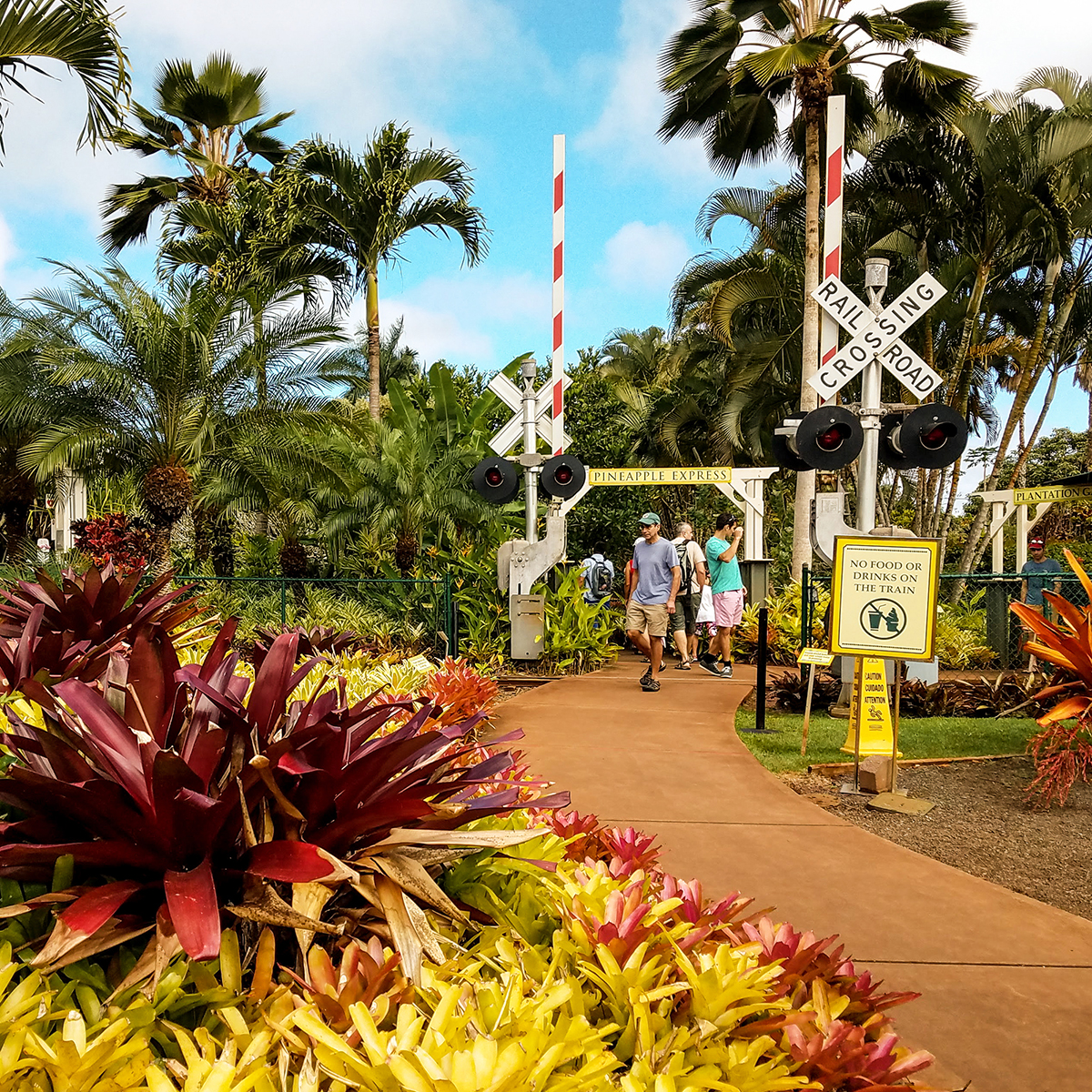 A Visit to Dole Plantation: Pineapple Paradise - Aloha Lovely